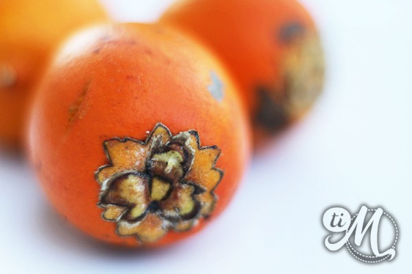 Awara – Ti Molokoy blog