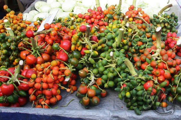 Parépou – Ti Molokoy blog