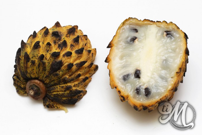 Abriba – Ti Molokoy blog